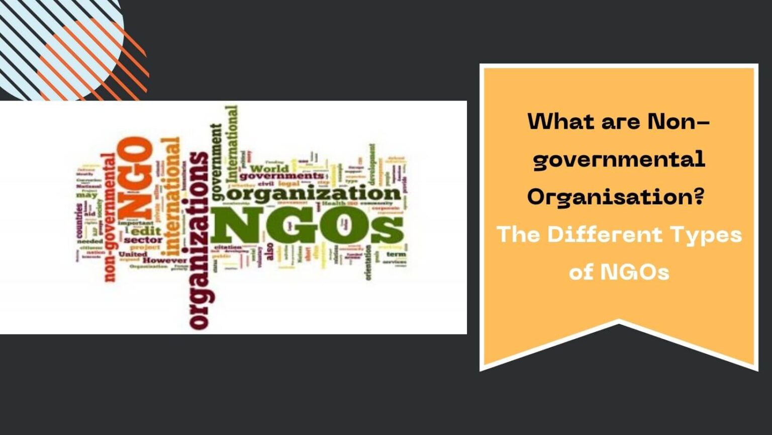 What are Non-governmental Organisation? The Different Types of NGOs